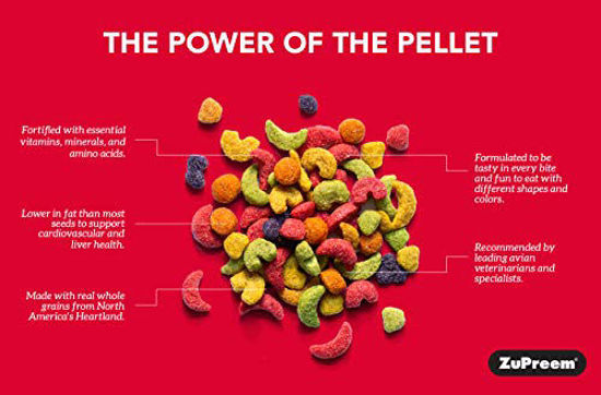 GetUSCart- ZuPreem FruitBlend Flavor Pellets Bird Food for Small Birds ...