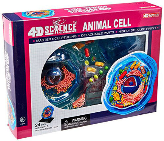 GetUSCart- Famemaster 4D-Science Animal Cell Anatomy Model