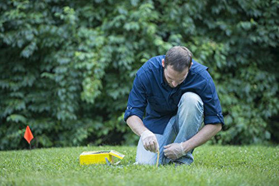 GetUSCart- Tomcat Mole Killer(a) - Worm Bait - Includes 10 Worms per ...