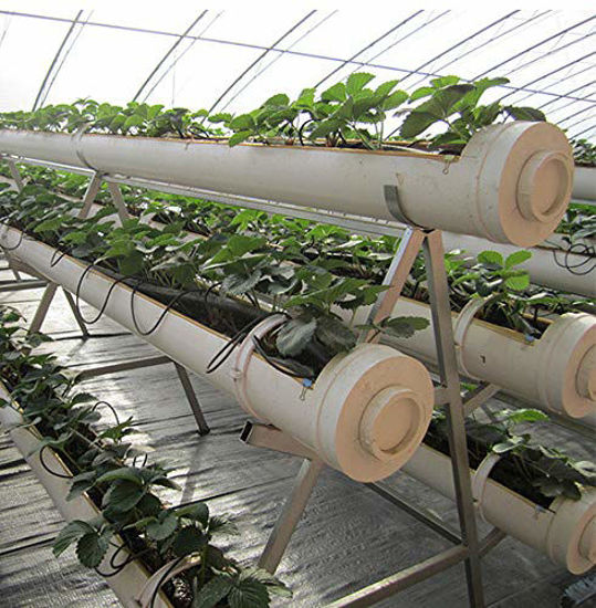 GetUSCart- 1.5? Rockwool Starter Plugs for Hydroponics, Rockwool Grow ...