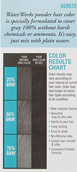 GetUSCart- Water Works Water Activated Permanent Powder Hair Color for ...