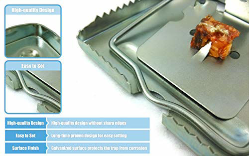 GetUSCart- made2catch Pack of 2 Classic Metal Rat Traps Fully ...