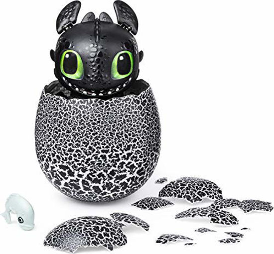 GetUSCart- Dreamworks Dragons, Hatching Toothless Interactive Baby ...