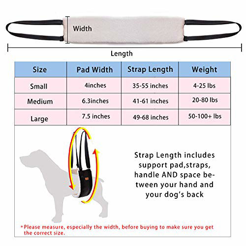 GetUSCart- LOOBANI Portable Dog Sling for Back Legs, Hip Support ...