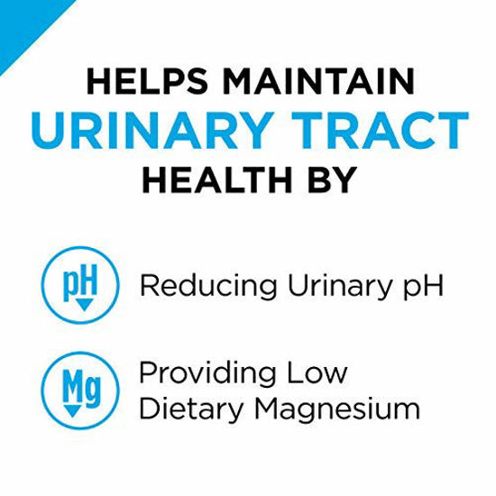 GetUSCart- Purina Pro Plan Urinary Tract Health Wet Cat Food, FOCUS ...