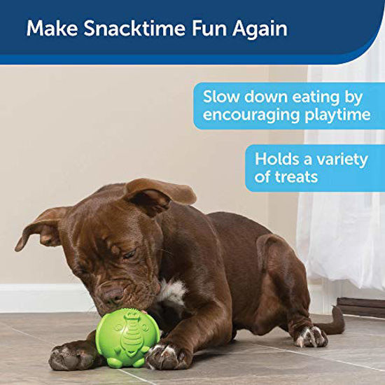 GetUSCart- PetSafe Busy Buddy Elephunk Dog Chew Toy - Treat Dispenser ...