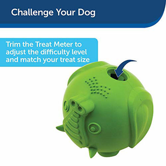 GetUSCart- PetSafe Busy Buddy Elephunk Dog Chew Toy - Treat Dispenser ...