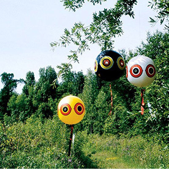 GetUSCart- Bird-X Scare-Eye Bird Repellent Predator Eyes Balloons, Pack ...