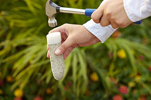 GetUSCart- Miracle-Gro Fruit & Citrus Plant Food Spikes, 12 Spikes