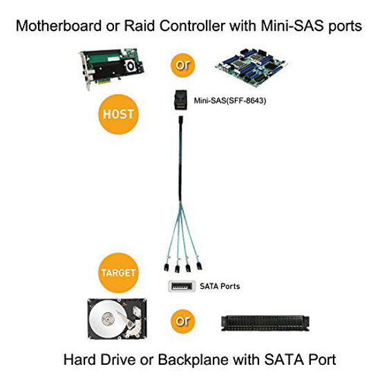 GetUSCart- CableCreation Internal HD Mini SAS (SFF-8643 Host) - 4X SATA ...