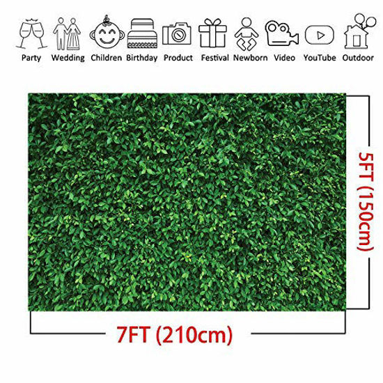 GetUSCart- LYWYGG 7x5FT Green Leaves Photography Backdrops Mmicrofiber ...