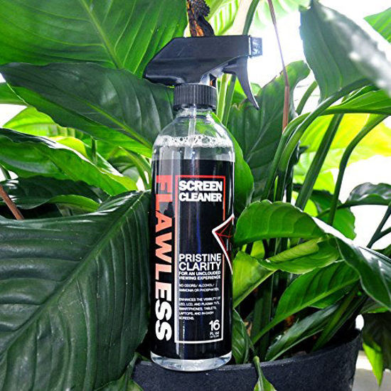 GetUSCart- Flawless Screen Cleaner Spray with Microfiber Cleaning Cloth ...