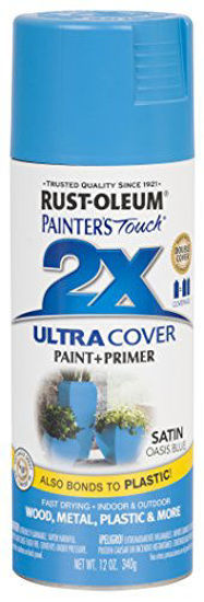 GetUSCart- Rust-Oleum 277991 Painter's Touch 2X Ultra Cover, 12 Oz ...