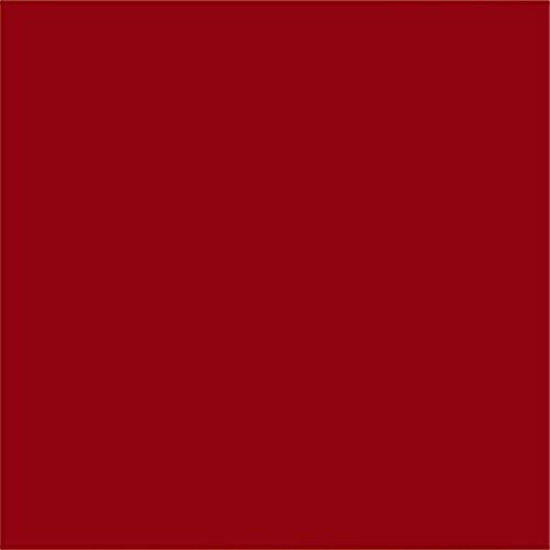 GetUSCart- Rust-Oleum 1964502 Enamel Paint, Quart, Gloss Colonial Red ...