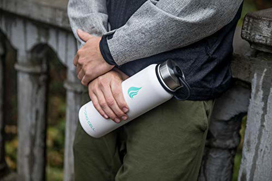 GetUSCart- HYDRO CELL Stainless Steel Water Bottle with Straw & Wide ...