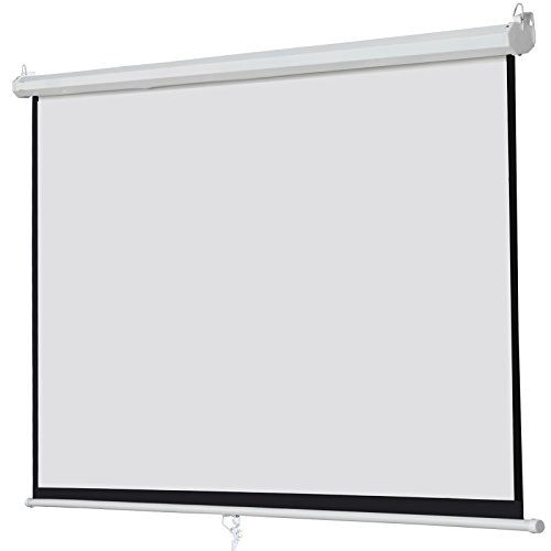 GetUSCart- ZENY 100 Inch Projector Screen 16:9 HD Portable Projection ...