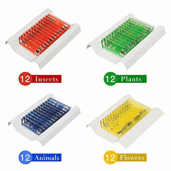 GetUSCart- 48 Pack Prepared Microscope Slides Collection, Insect Animal ...