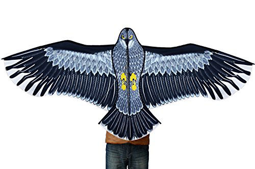 GetUSCart- HENGDA KITE-Strong Eagles!Huge Beginner Eagle Kites for Kids ...