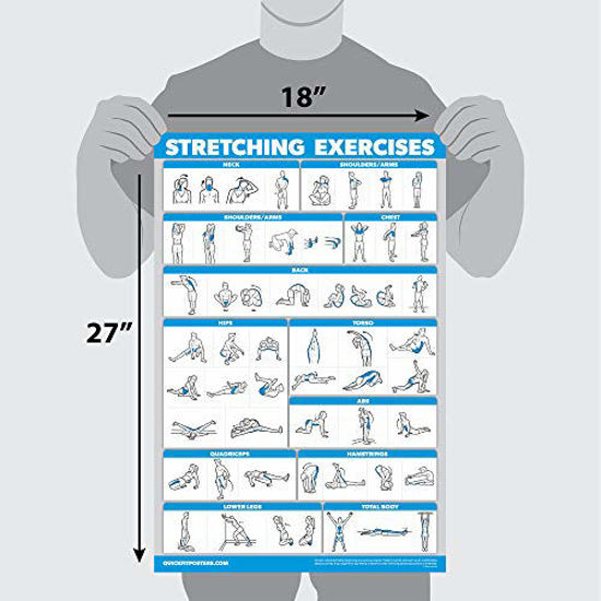 GetUSCart- QuickFit Yoga Poses and Stretching Exercise Poster Set ...