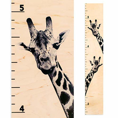 GetUSCart- Growth Chart Art