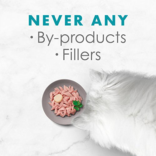 GetUSCart- Purina Fancy Feast Wet Cat Food Complement, Appetizers Light ...