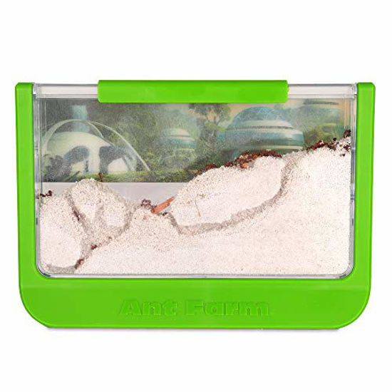 GetUSCart- Uncle Milton Ant Farm Antopia Rainforest Ant Habitat ...