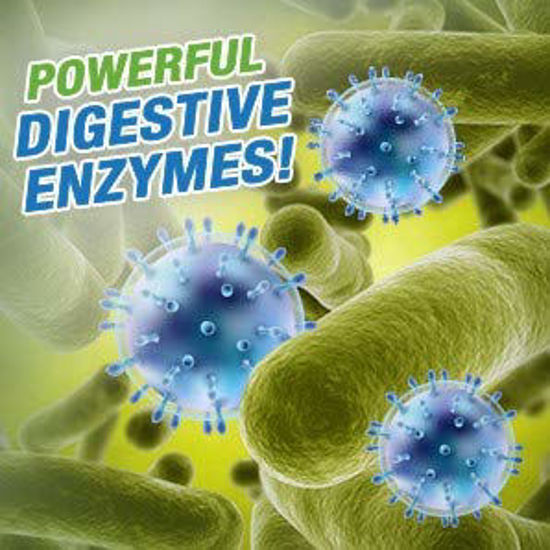 GetUSCart- Green Gobbler Septic Saver Bacteria Enzyme Pacs | 2 Year ...