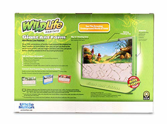 GetUSCart- Uncle Milton Giant Ant Farm - Large Viewing Area - Care for ...