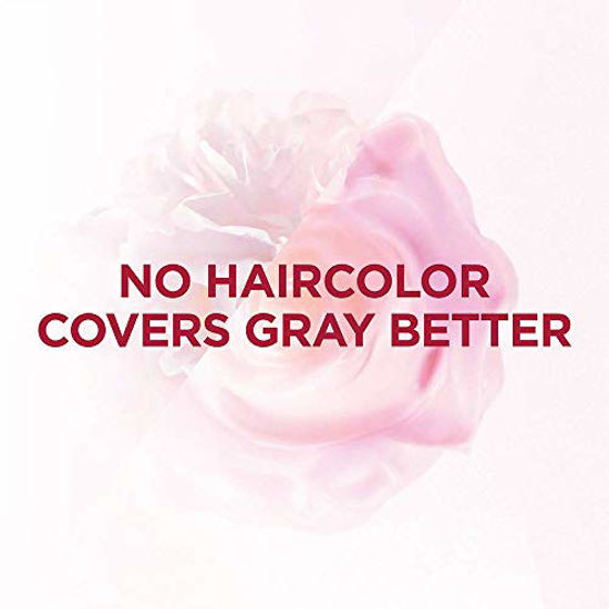 GetUSCart- L'Oreal Paris Excellence Creme Permanent Hair Color, 6R ...