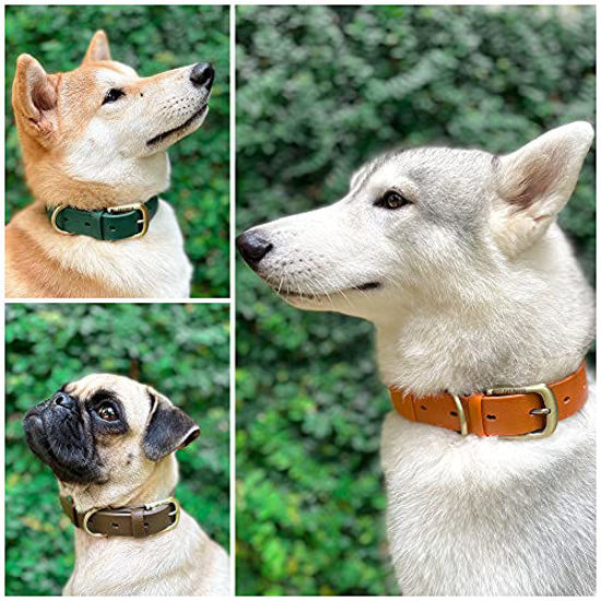 GetUSCart- Tuff Pupper Classic 'Lifetime' Heavy Duty Dog Collar ...