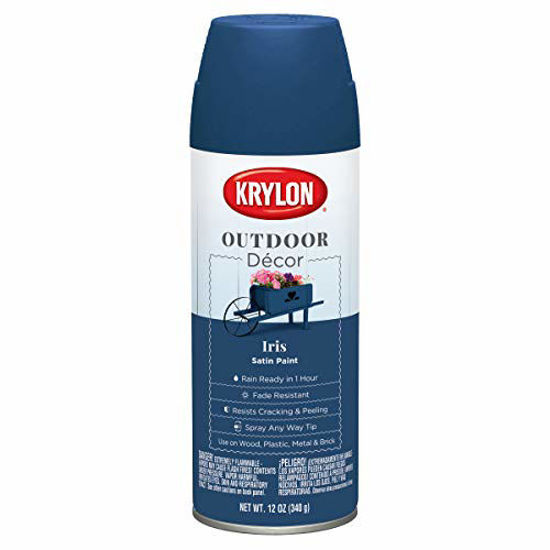 GetUSCart- Krylon Outdoor Décor Spray Paint, 12 Ounce (Pack of 1), Iris