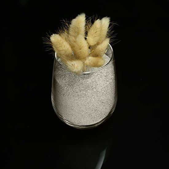 GetUSCart- Royal Ram 2 Pounds Natural California Sand - for Interior ...