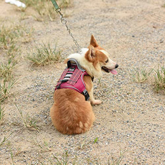 GetUSCart- CBBPET Tactical Dog Harness No Pull,Reflective Military Dog ...