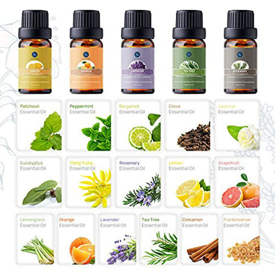 GetUSCart Lagunamoon Essential Oils Gift Set 16 x 10mL Essential Oils for Diffuser Humidifier Massage Aromatherapy Essential Oils Lavender Tea Tree Lemon Orange Peppermint Rosemary Lemongrass