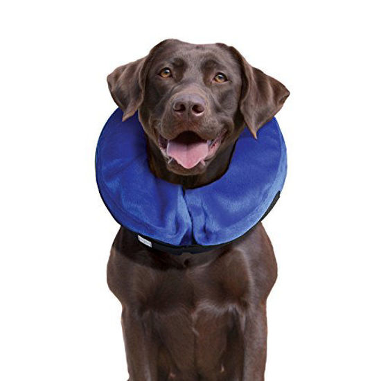 GetUSCart- KONG - Cloud Collar - Plush, Inflatable E-Collar - for ...