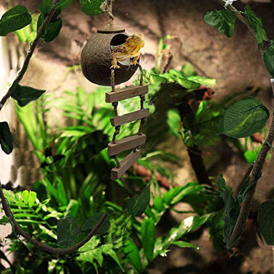 GetUSCart- Gecko Coco Den Reptile Hideouts, Raw Coconut Husk Hut for ...