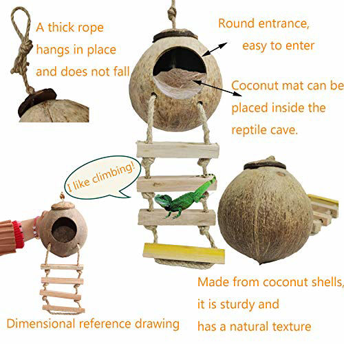 GetUSCart- Gecko Coco Den Reptile Hideouts, Raw Coconut Husk Hut for ...