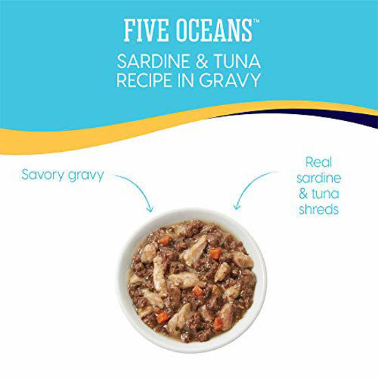 GetUSCart- Solid Gold Shreds In Gravy Wet Cat Food; Five Oceans With ...