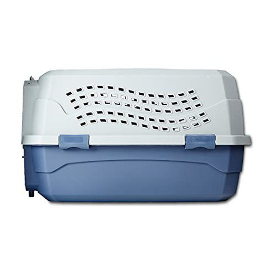 GetUSCart- Amazon Basics Two-Door Top-Load Hard-Sided Pet Travel ...
