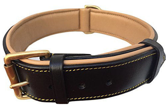 GetUSCart- Soft Touch Collars Black Leather Padded Dog Collar with ...