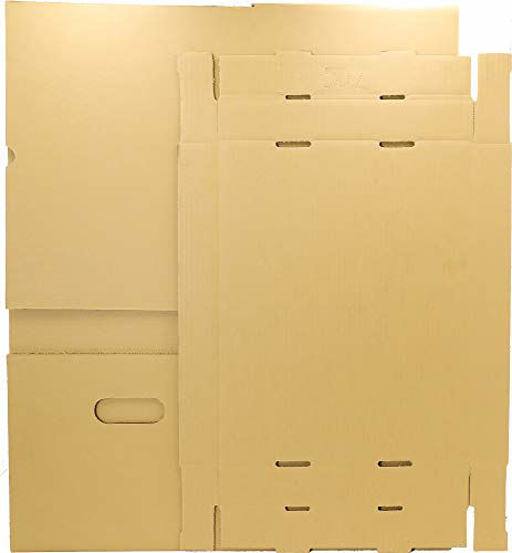 GetUSCart- Lineco, RTA Record Storage Carton, 12??x 15??x 10 ...