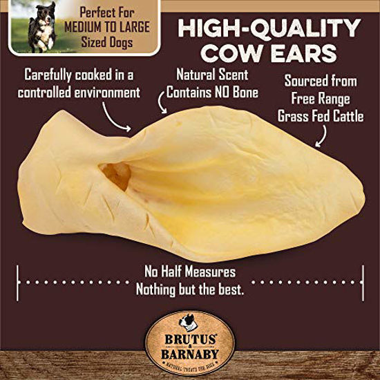 GetUSCart- Cow Ears for Dogs, All Natural Whole Ears, No Added Hormone ...