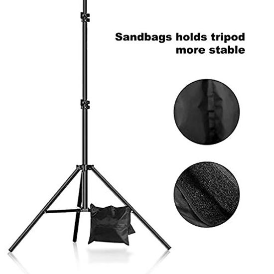 GetUSCart- Backdrop Stand for Parties, CPLIRIS 8.5x10ft Adjustable ...