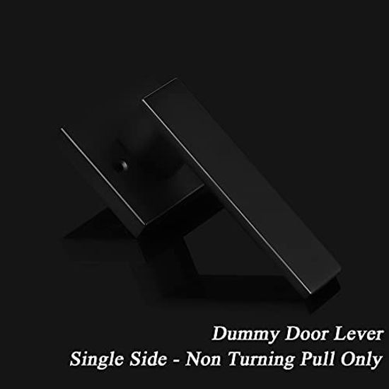 GetUSCart- Probrico [Pack of 5]Door Lever Dummy Lever Door Handle for ...