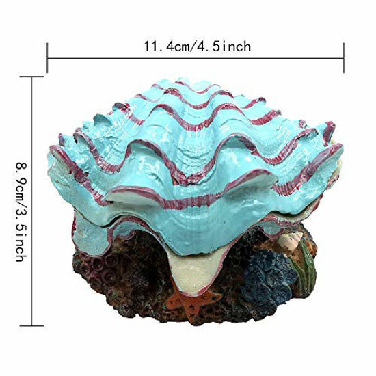 GetUSCart- Abnaok Aquarium Shell Decoration, Tropical Clam Live-Action ...