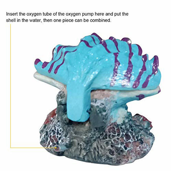GetUSCart- Abnaok Aquarium Shell Decoration, Tropical Clam Live-Action ...
