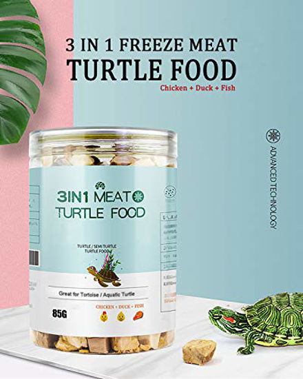 GetUSCart- 3 in 1 Meat Turtle Food - Chicken & Duck & Fish Meat Natural ...