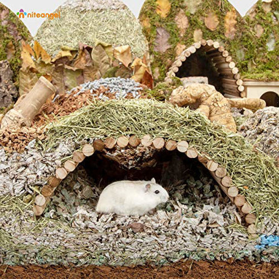 GetUSCart- Niteangel Small Animal Climbing Toys - Suspension Bridge ...