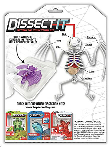 GetUSCart- Dissect-It Simulated Synthetic Lab Dissection STEM Toy, Kids ...
