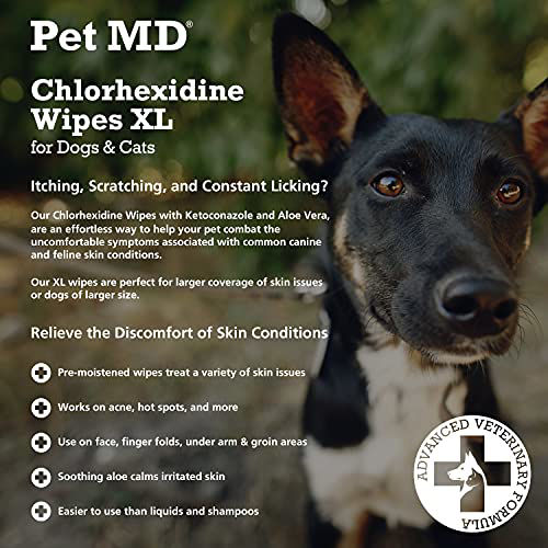 GetUSCart- Pet MD Chlorhexidine Wipes XL with Aloe for Dogs and Cats ...